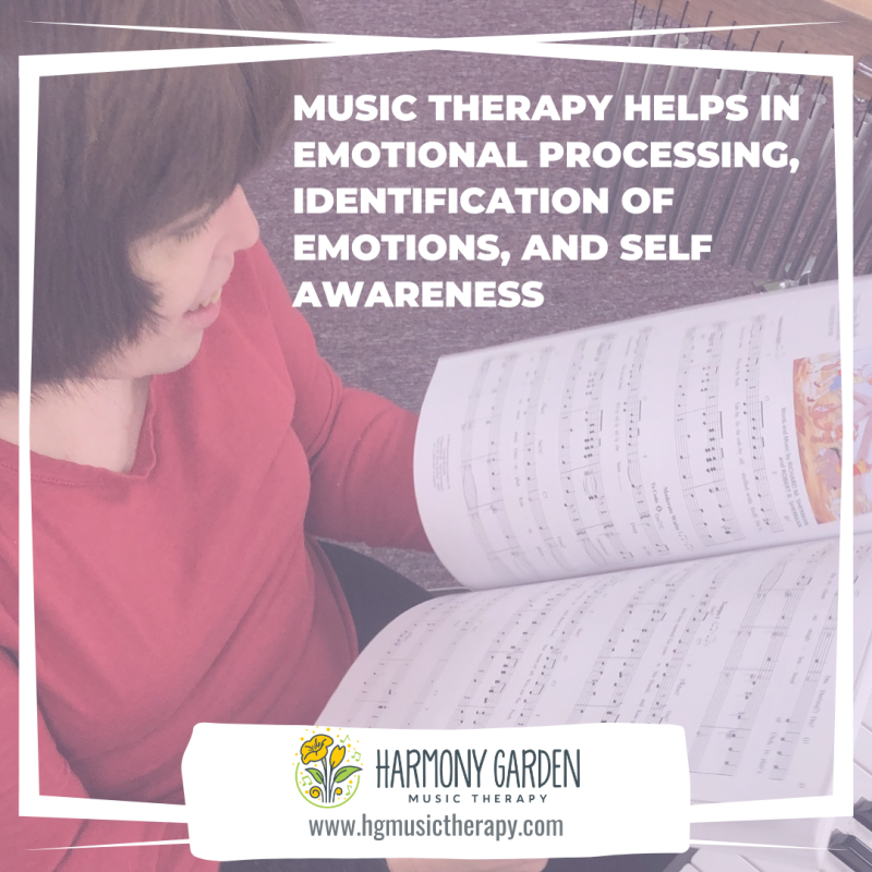 Home - Harmony Garden Music Therapy Services | Jackson, MI